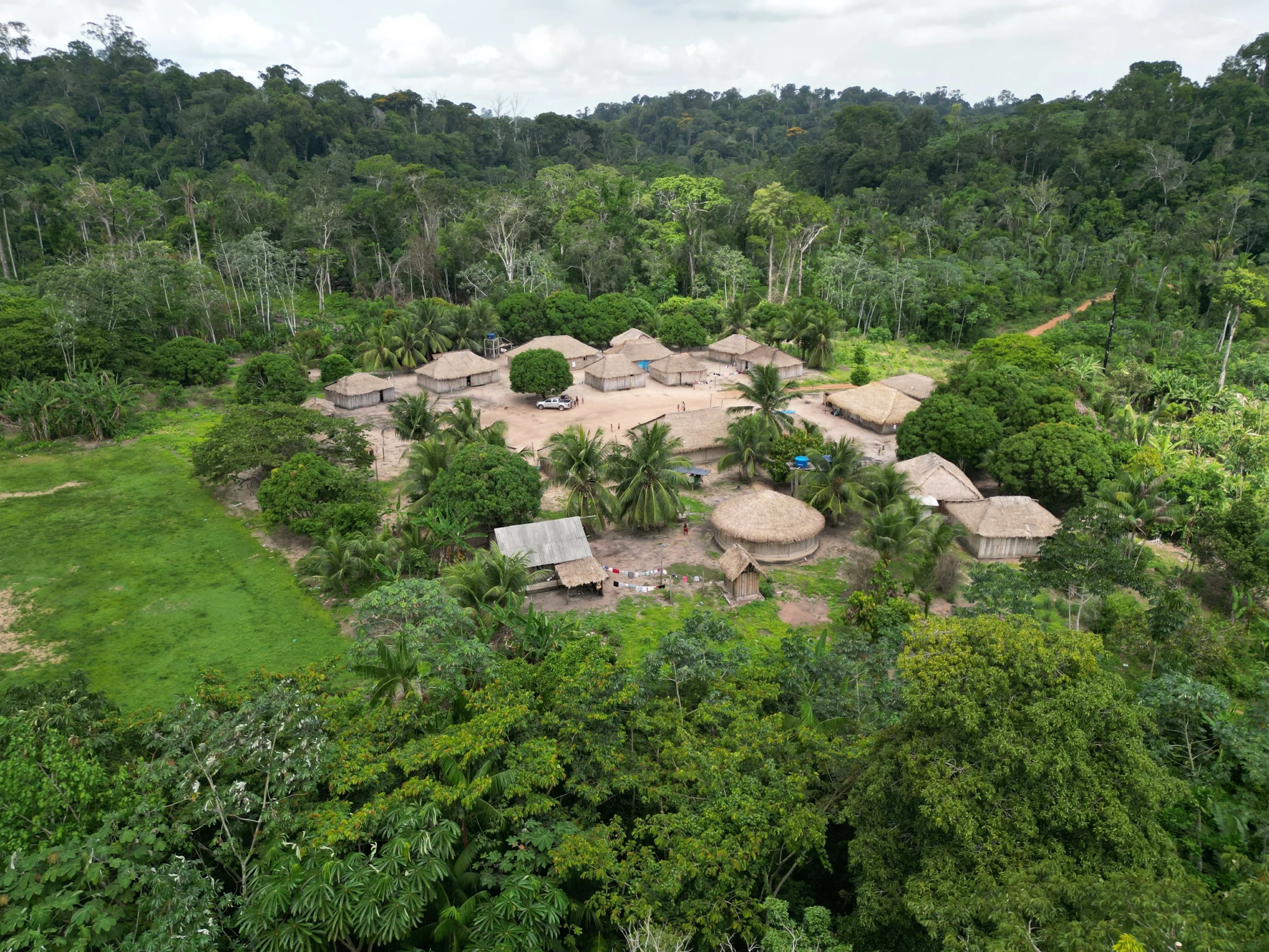 A valiosa manutenção da Floresta Amazônica - Apsis Carbon