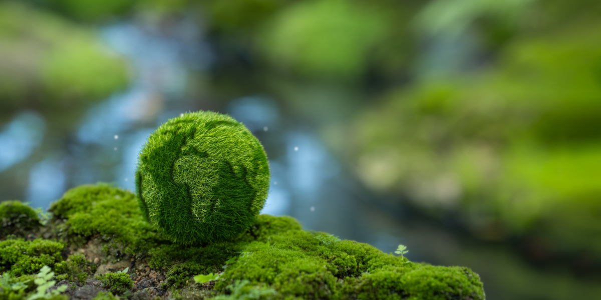 O novo mercado de carbono no Brasil: oportunidades e desafios - Apsis ...