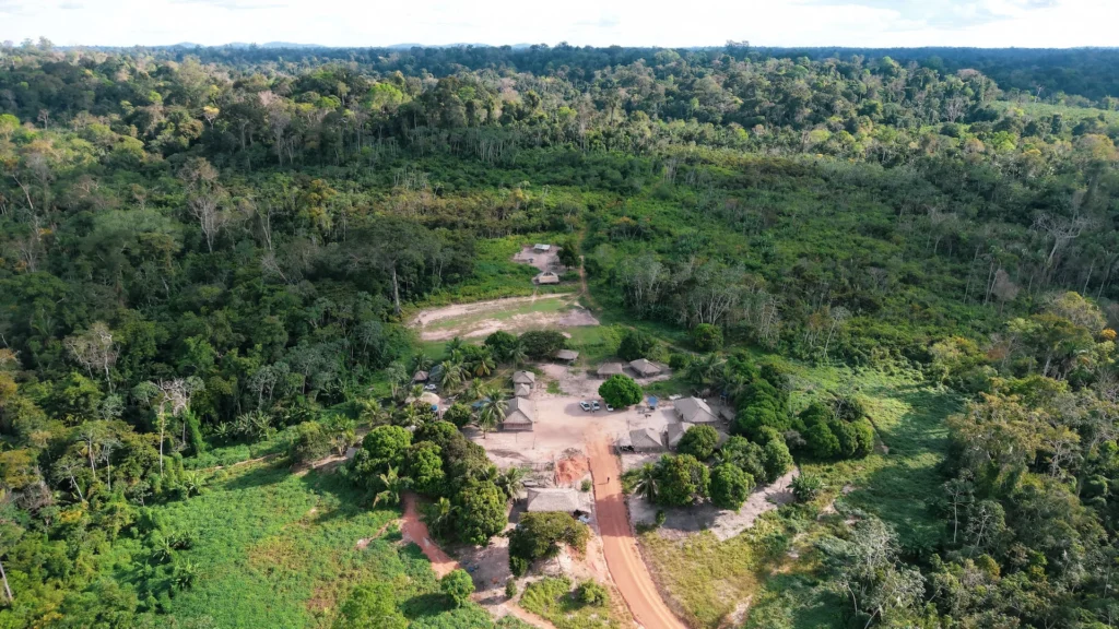 Projeto Juntos pela Floresta Awaeté REDD+ - Apsis Carbon