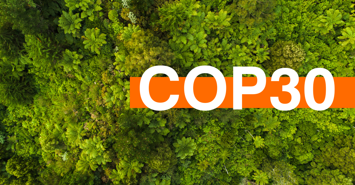 Por que a COP30 é mais do que um evento em Belém? - Apsis Carbon